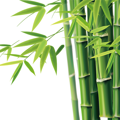 What Makes a Person Great | Story of Chinese Bamboo - Starry Stories