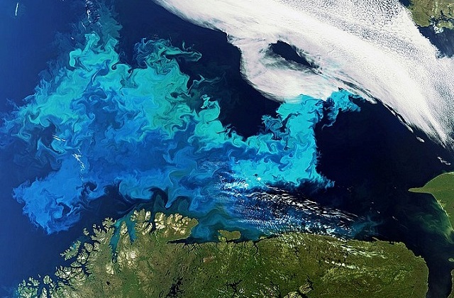 Where does the Oxygen on Earth come from? - Starry Stories