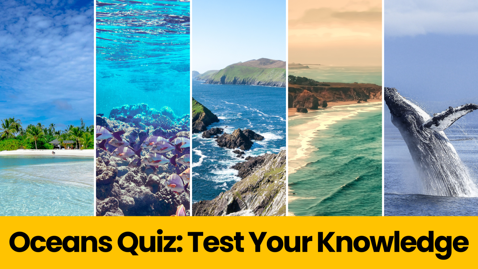 Oceans Quiz - Starry Stories