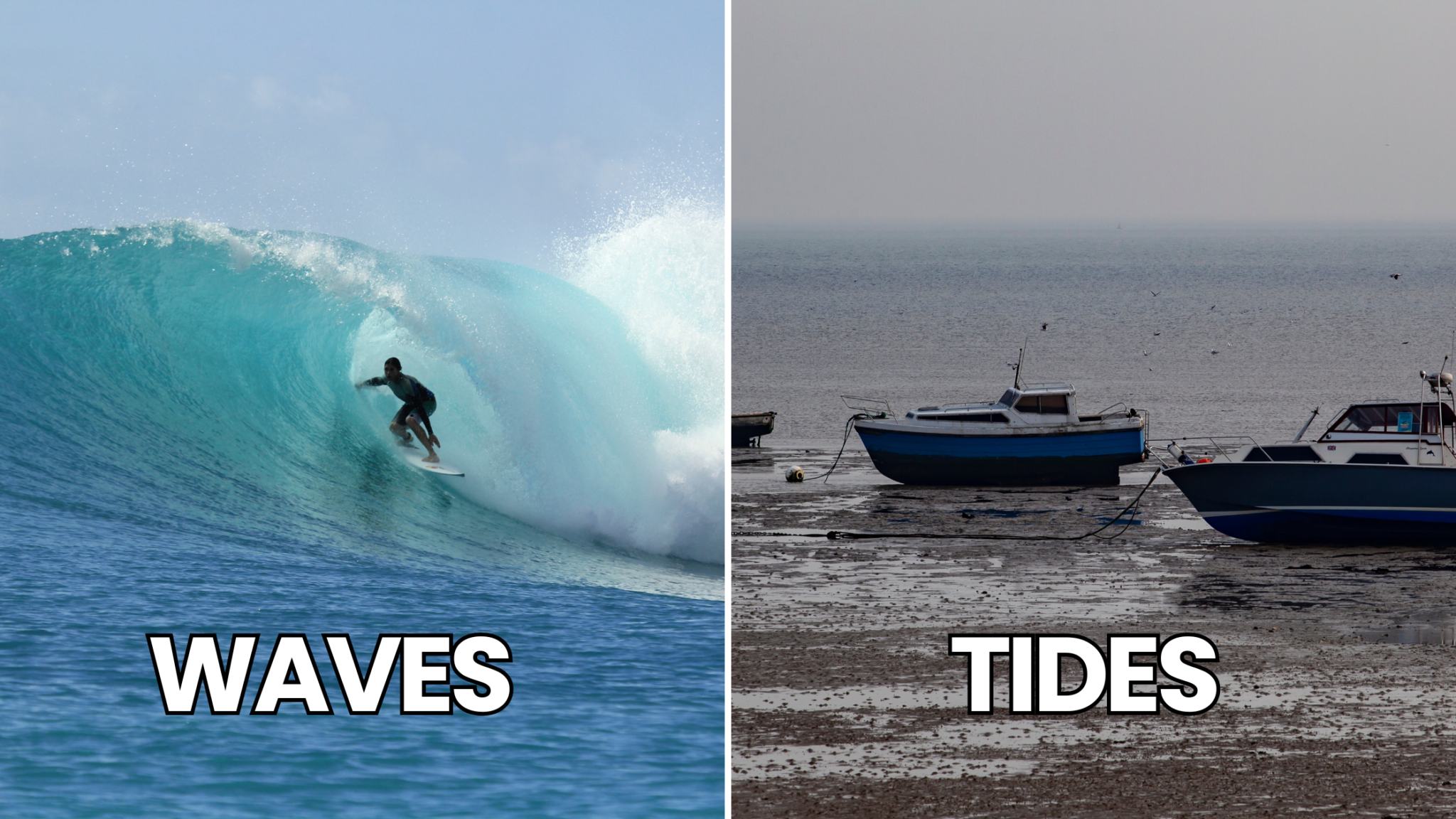 Difference between Waves and Tides - Starry Stories