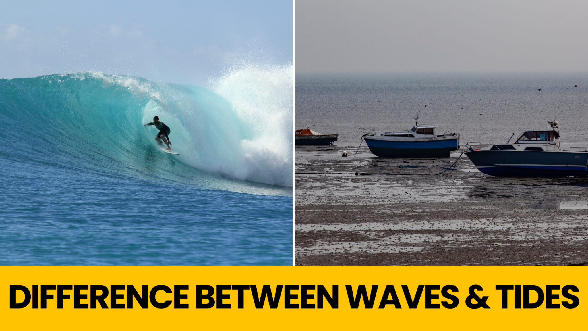 Difference between Waves and Tides - Starry Stories